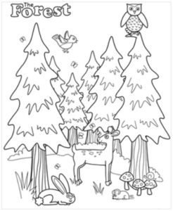 CTP絵本Whose Forest Is It?に使える教材一覧 | CTP English